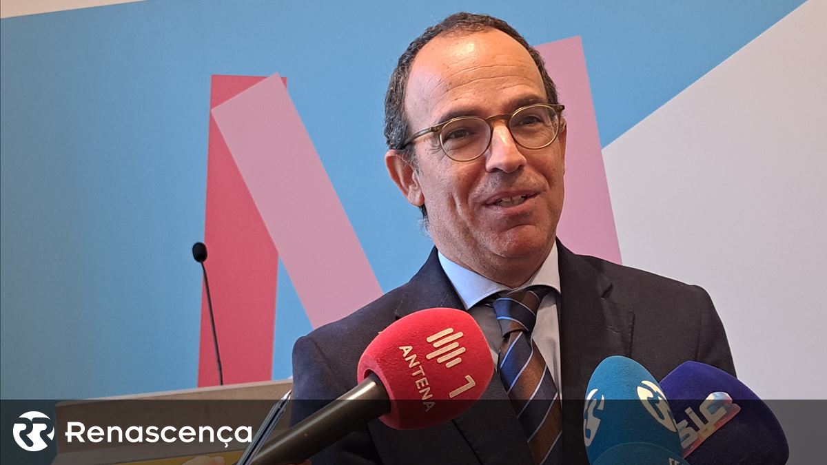 Novo Museu MAC/CCB abre com 2 milhões de euros para aquisições de arte ...