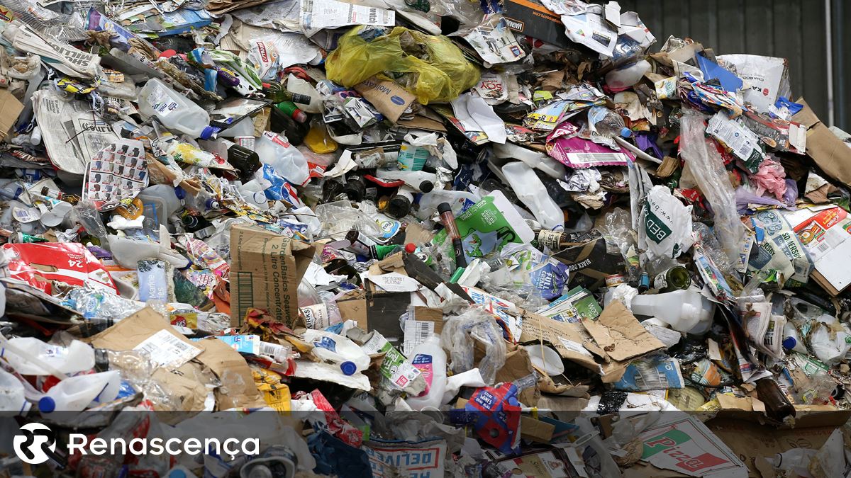Governo altera regime da gestão de resíduos para promover reciclagem ...