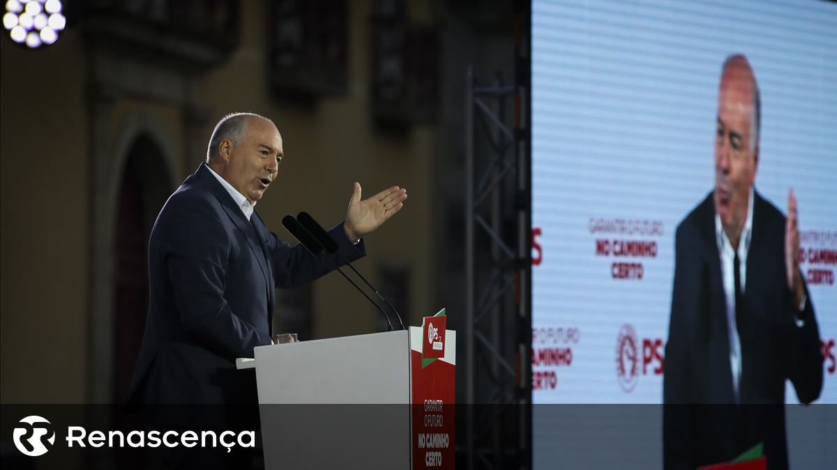 Câmara insta Governo a resolver salários em atraso em “call center” de ...