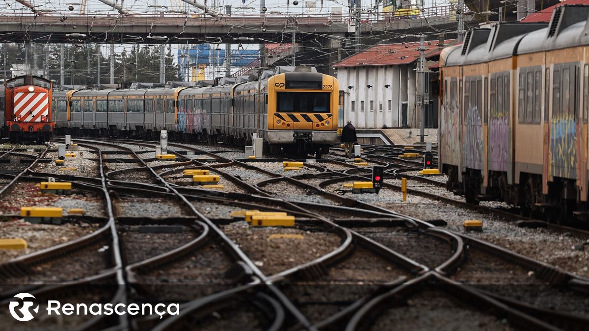 Quadruplicação da linha Contumil-Ermesinde deve avançar em 2024 ...