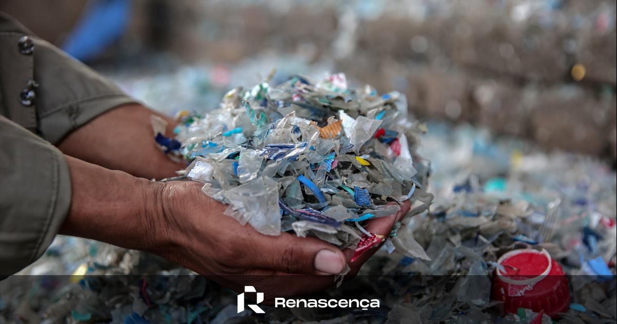 Países da UE estão atrasados nas metas de reciclagem - Renascença