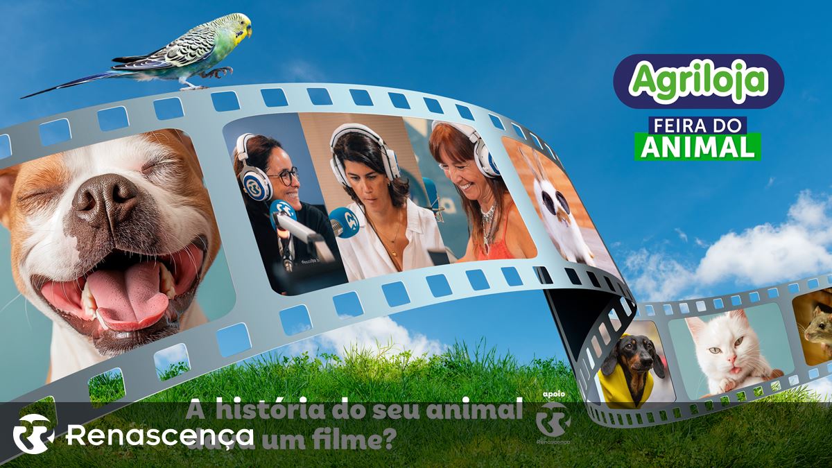 Eu e o meu animal de companhia: o filme! - Renascença