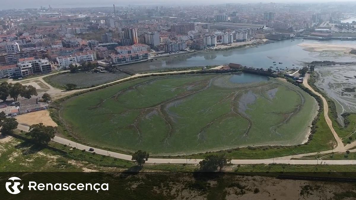 Uma nova praia fluvial vai nascer no Barreiro - Renascença