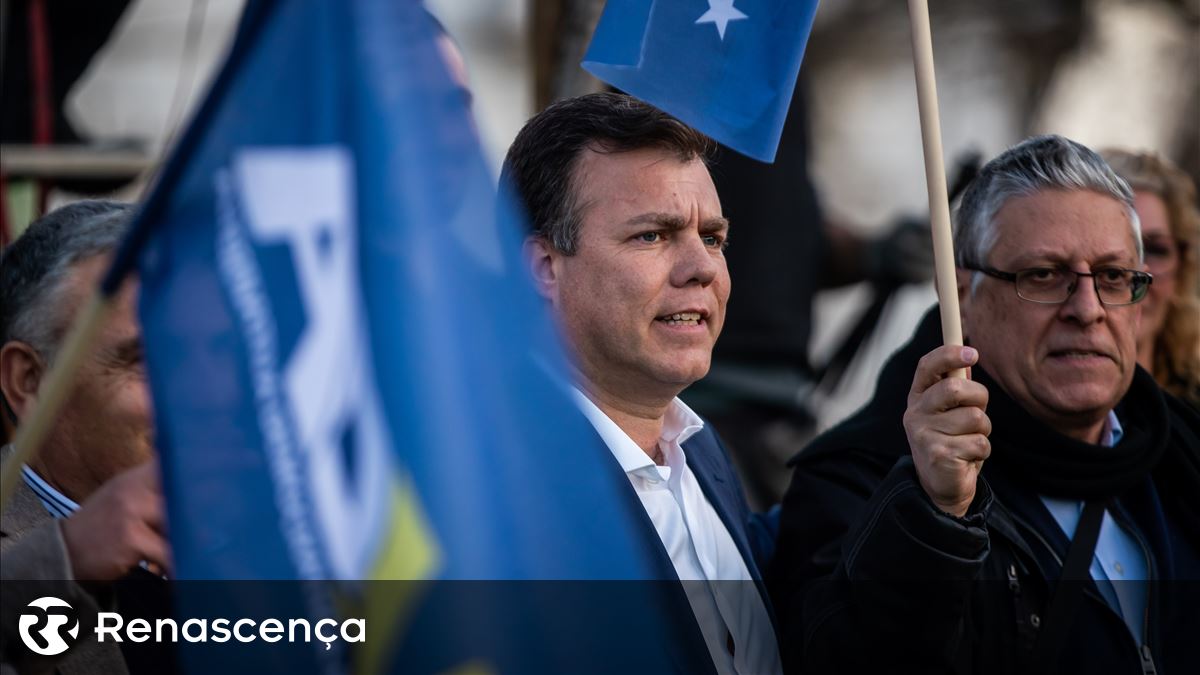 Conheça o ADN. O partido que esteve quase a entrar no Parlamento ...
