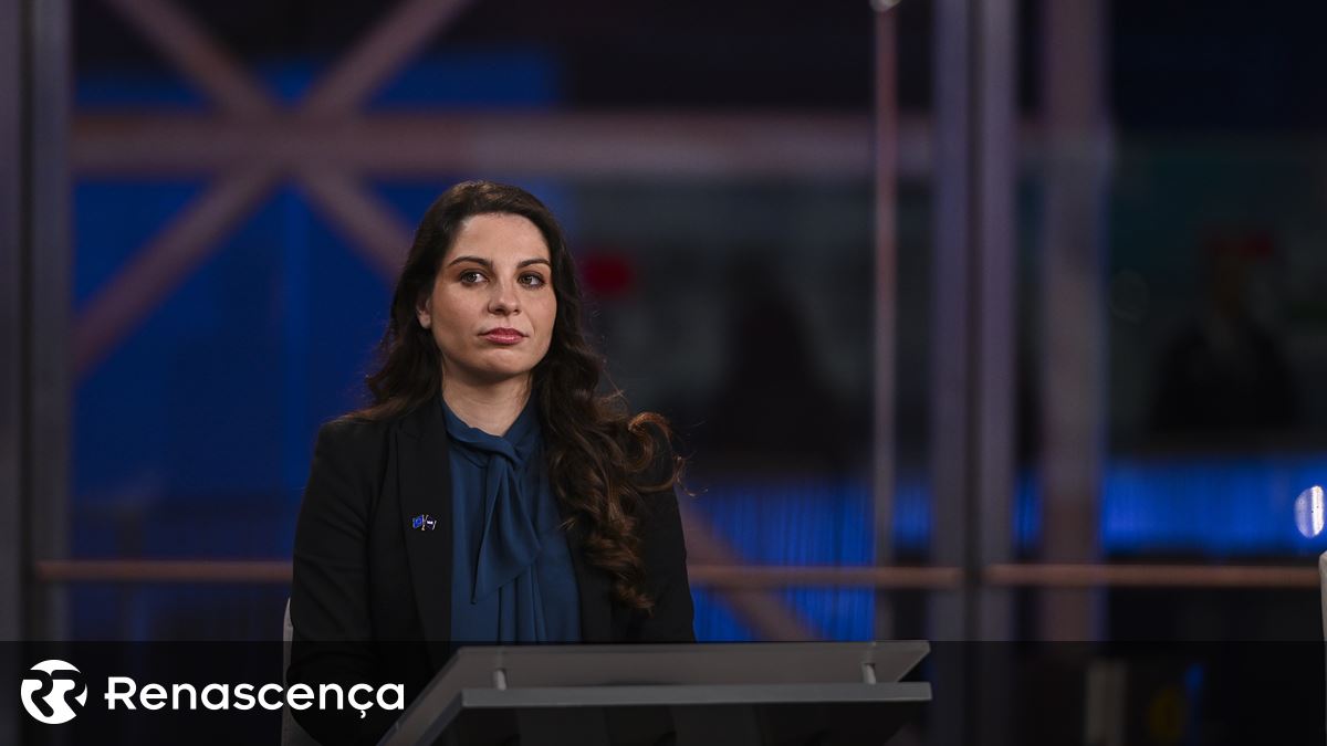 Legislativas 2024. Volt vê resultados do partido como bom sinal para as ...