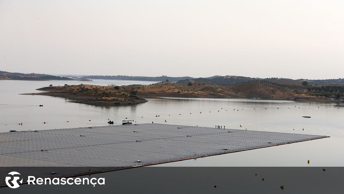 Alqueva. Maior projeto fotovoltaico flutuante da Europa tem 45 milhões ...
