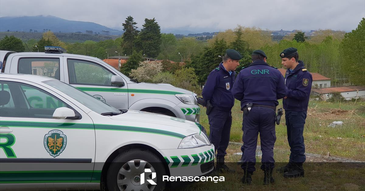 Mais de 27 mil infrações ambientais detetadas pela GNR em 2025 - Renascença
