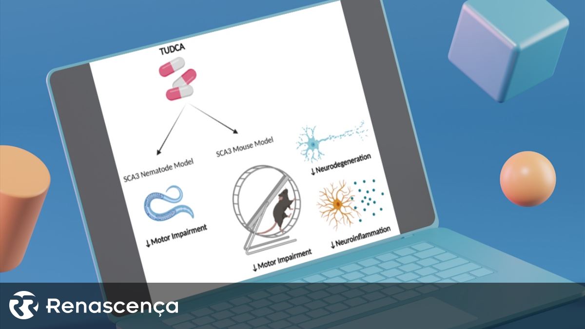 Tratamento promissor para doença de Machado-Joseph desenvolvido na ...