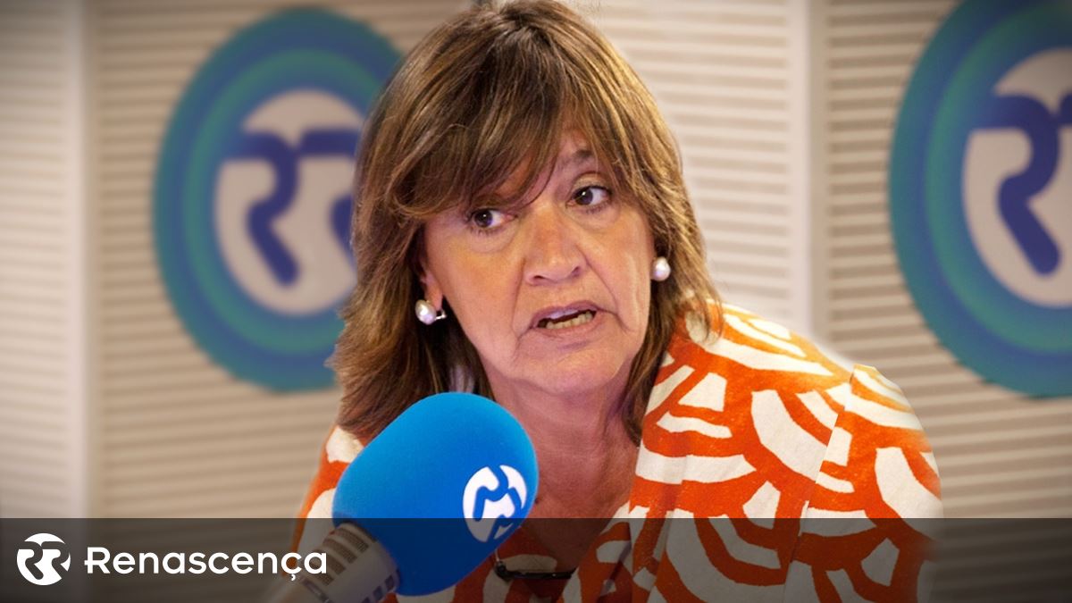 "Quase 90% dos idosos seriam pobres sem transferências sociais ...