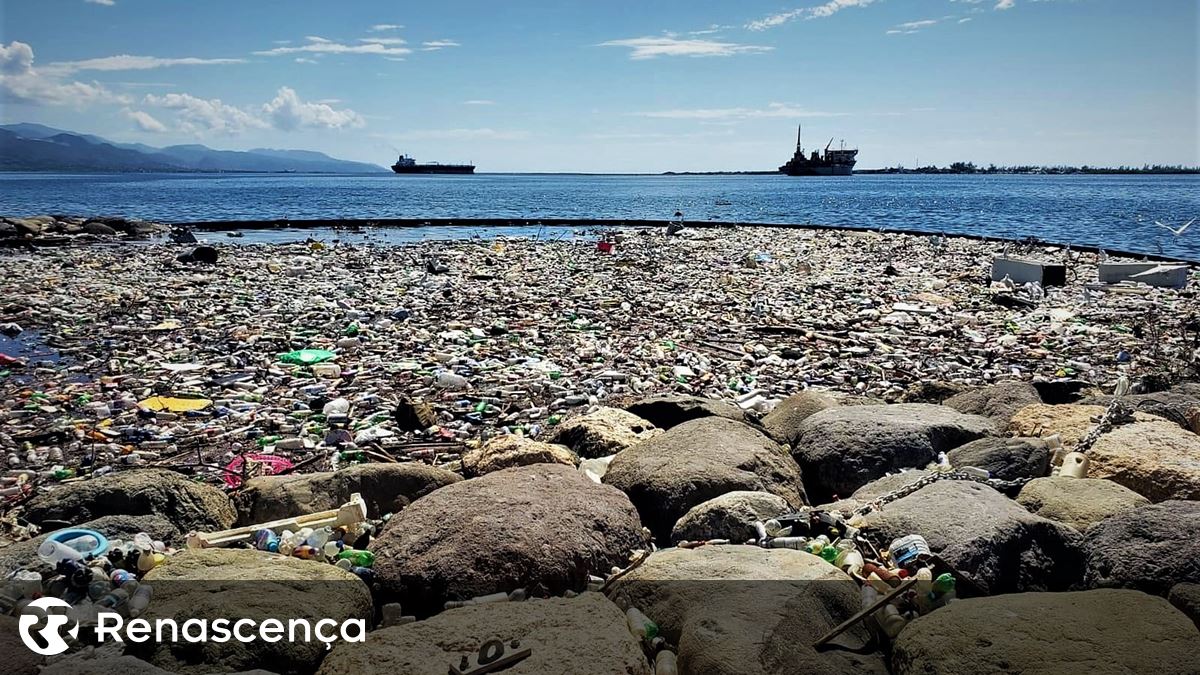 Limpar oceanos. Organização retira 100 toneladas do Pacífico - Renascença