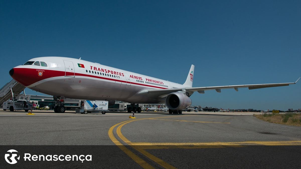 132 hamsters prenderam avião da TAP nos Açores durante cinco dias ...