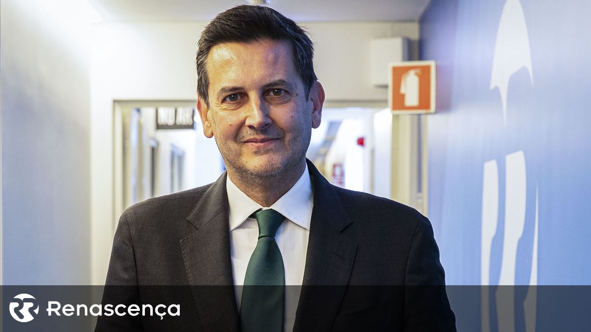 Rui Rocha recusa motosserra orçamental de Milei e cortes de Musk: “Não ...