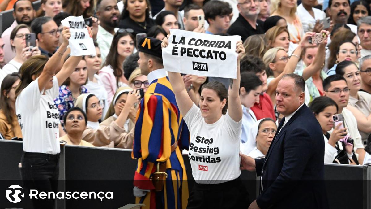 Morrissey pede ao Papa que condene o “espetáculo do diabo” das touradas ...