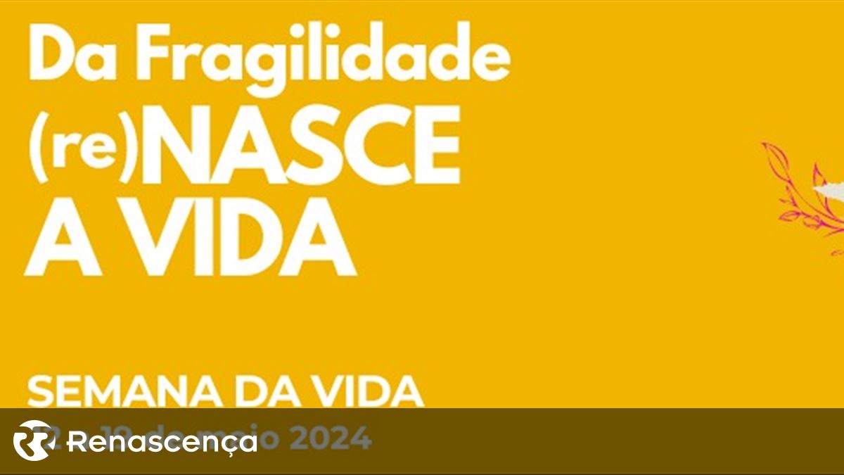 “Da fragilidade (re)Nasce a Vida” é o tema da Semana da Vida 2024 ...