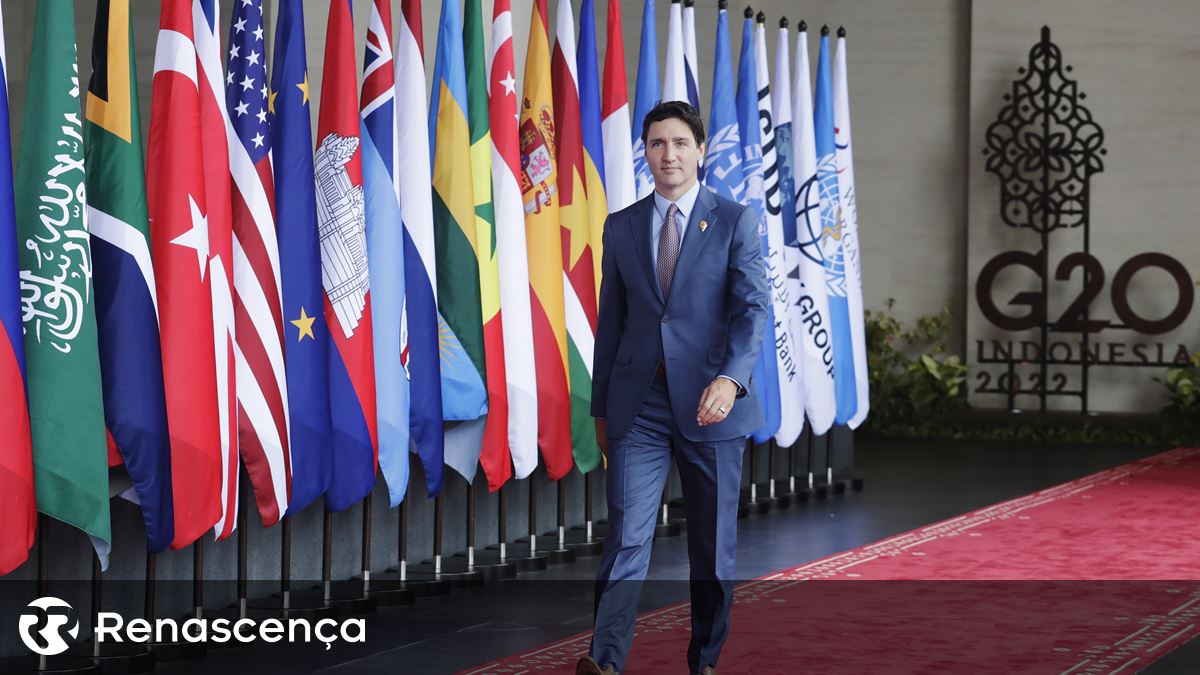 Presidente Xi repreende Trudeau em público por passar detalhes de ...